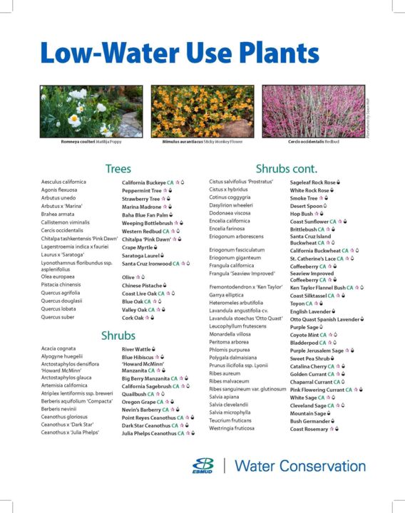 Flier bundle – Low water plant list :: East Bay Municipal Utility District
