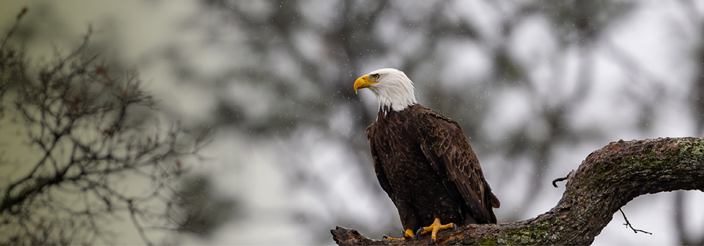 Home :: East Bay Municipal Utility District